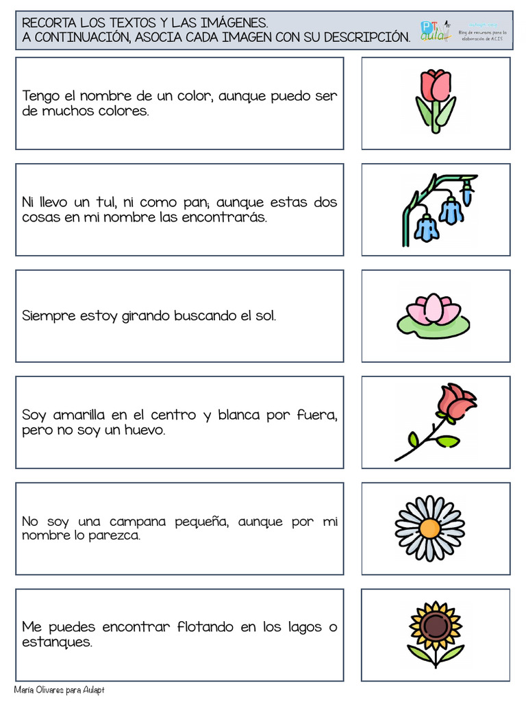 Comprension Lectora Flores Primavera | PDF
