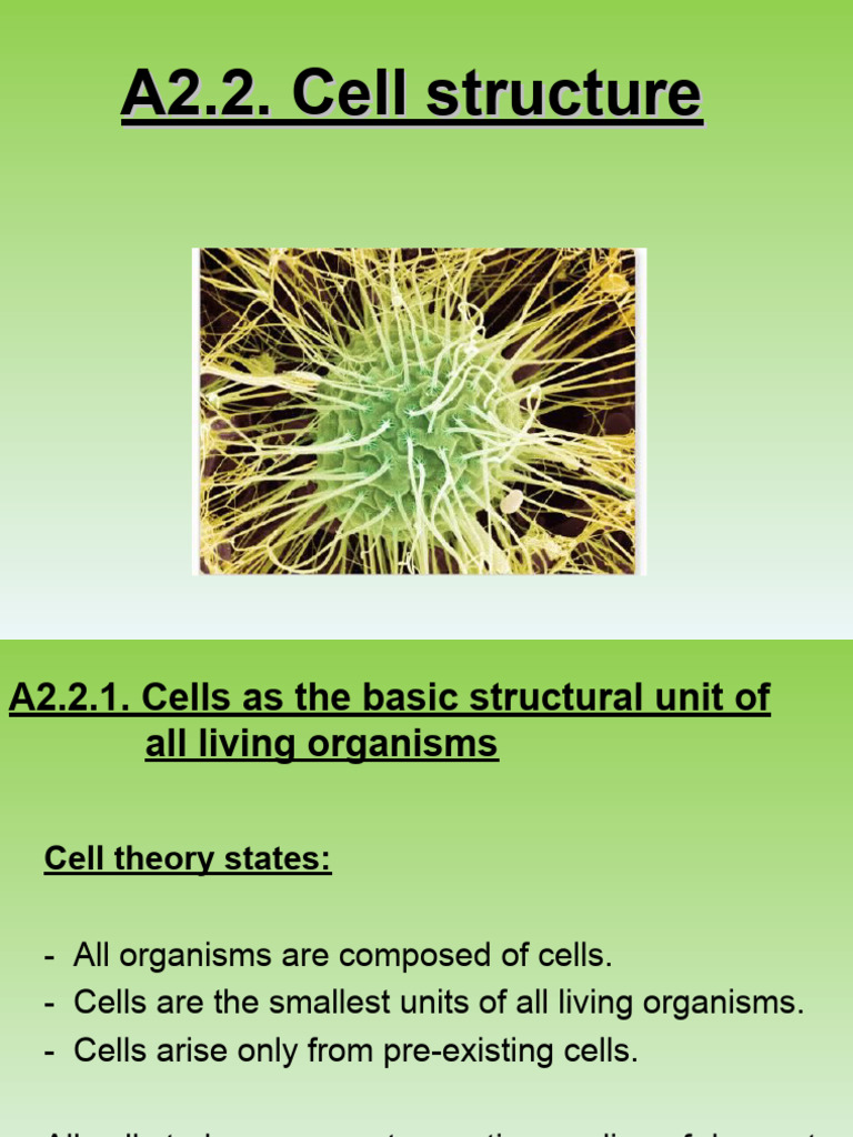 A2.2 - Cell Structure | Download Free PDF | Cell (Biology ...