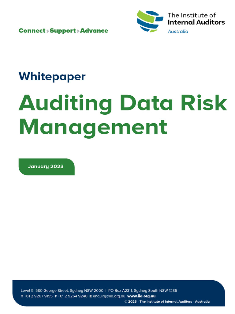 Auditing Data Risk Management | PDF | Internal Audit | Audit