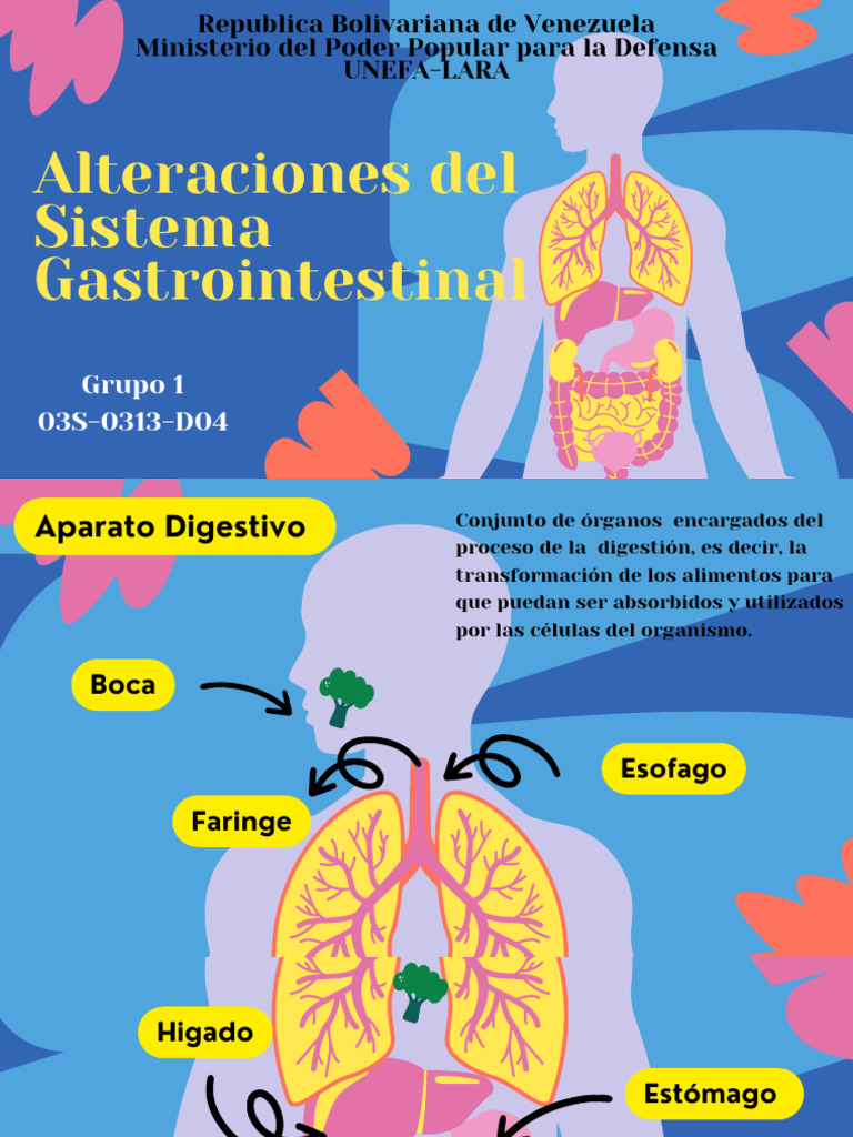 Digestive System Educational Video in Blue Yellow Illustrative Style ...