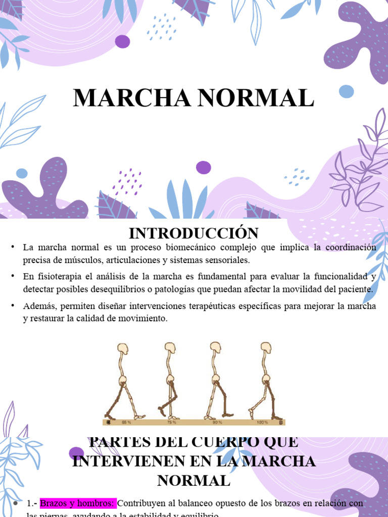 MARCHA NORMAL | PDF | Pie | Articulaciones
