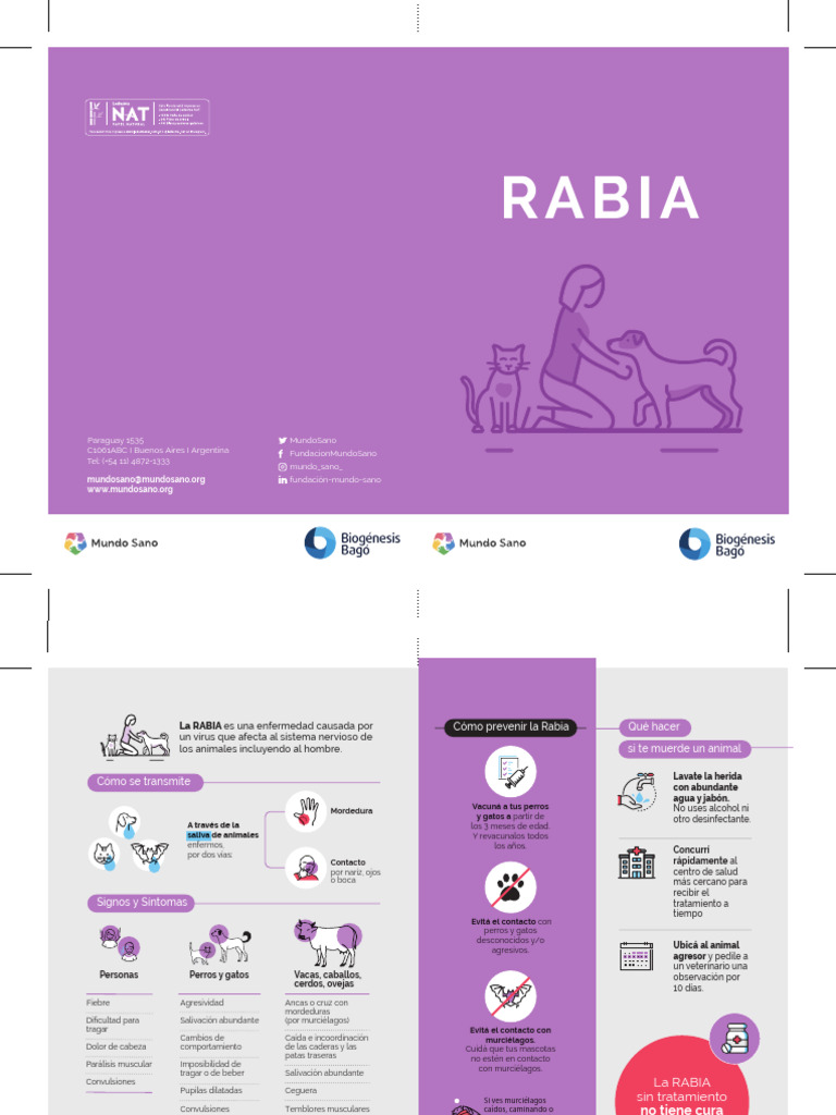 Folleto Rabia - Biogénesis Bagó (003) | PDF | Rabia | Gatos