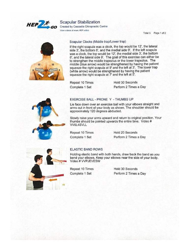 Scapular Stabilization | PDF
