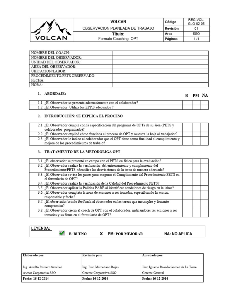 REG-VOL-GLO-02-05 Formato de Coaching OPT | PDF | Business