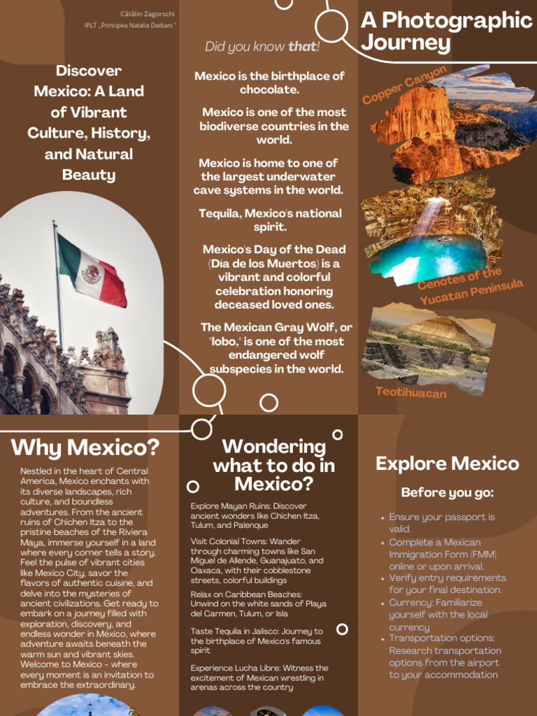 Brown Creative World City Tour Trifold Brochure | PDF | Mexico