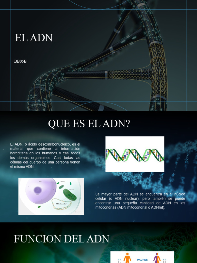 El Adn | Descargar gratis PDF | Replicación De Adn | Adn