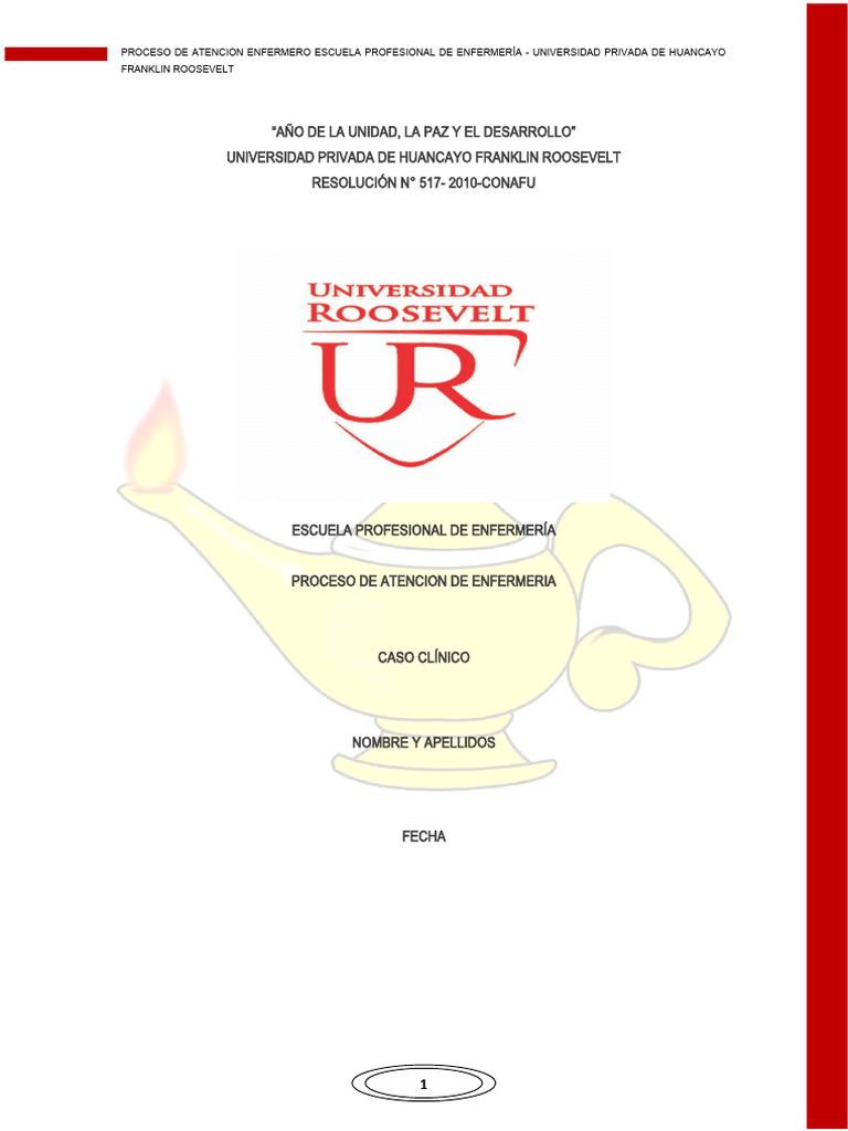 Formato Pae Listo Pdf Enfermería Medicina Clinica