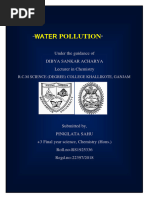 Environmental Pollution Project | PDF | Natural Environment | Sound
