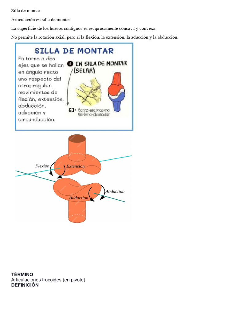Anat | PDF | Articulación | Anatomía