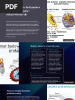 Budowa I Funkcje Komórki. Rodzaje Komórek | PDF