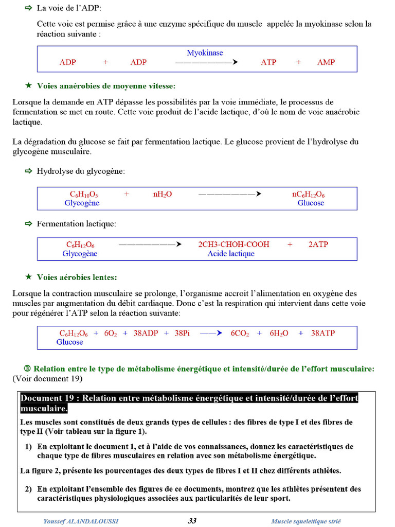 Cour Les Types de Fibres | PDF