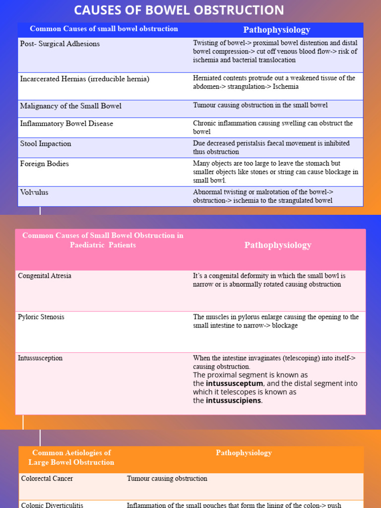 The Causes of Small and Large Bowel Obstruction | PDF ...