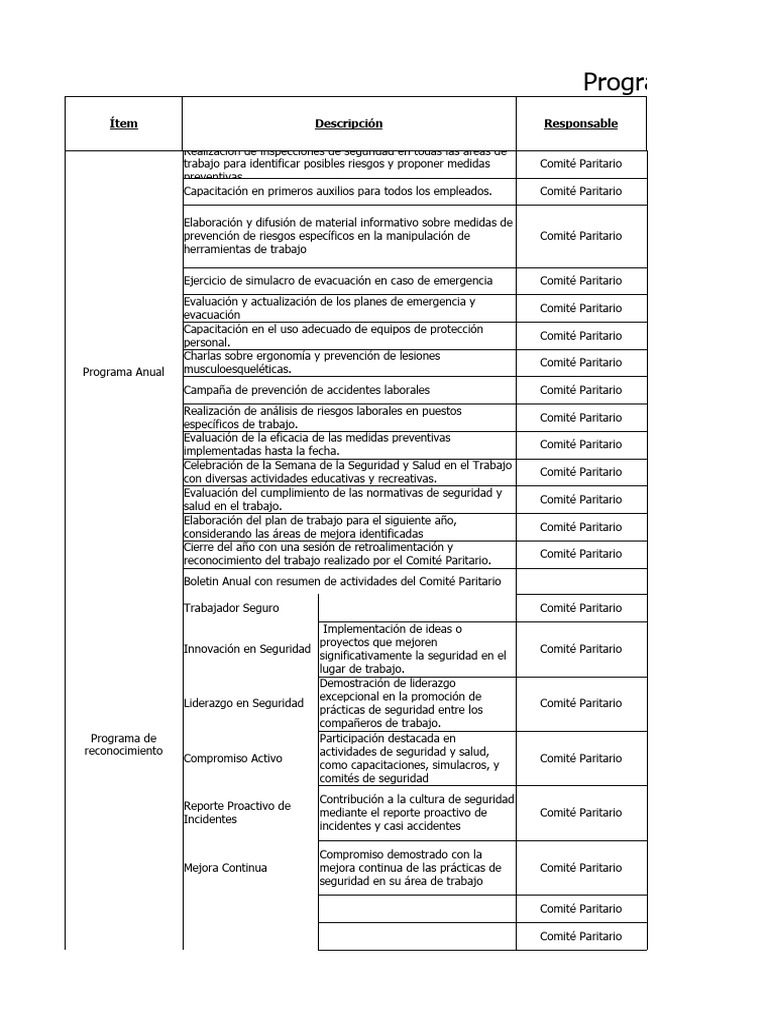 Programa Anual Comite Paritario | PDF