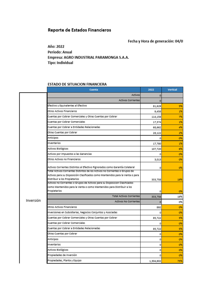 Reporte Detalle Informacion Financiero | PDF | Contabilidad | Opción (Finanzas)