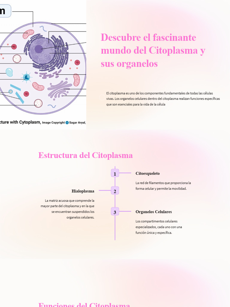 Descubre El Fascinante Mundo Del Citoplasma y Sus Organelos | PDF ... Descubre El Fascinante Mundo Del Citoplasma y Sus Organelos | PDF ...