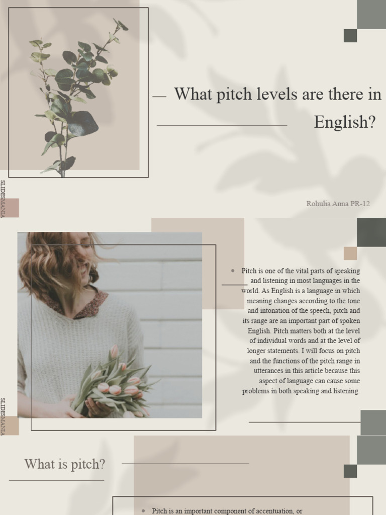 What Pitch Levels Are There in English? | PDF | Human Voice | Pitch (Music)