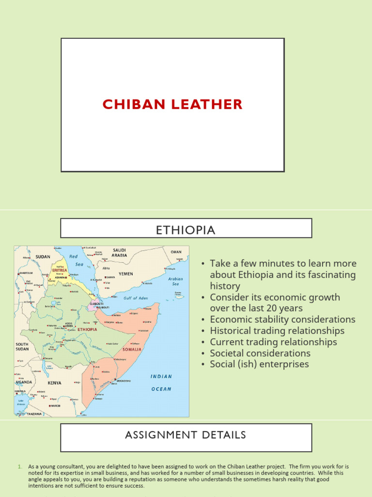 Chiban Leather - Considerations | PDF | Business | Economies