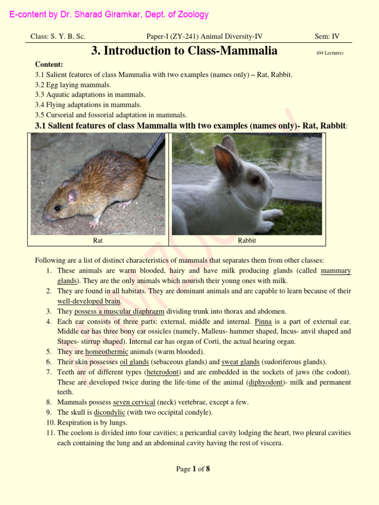 Introduction To Class-Mammlia | PDF | Mammals | Bat