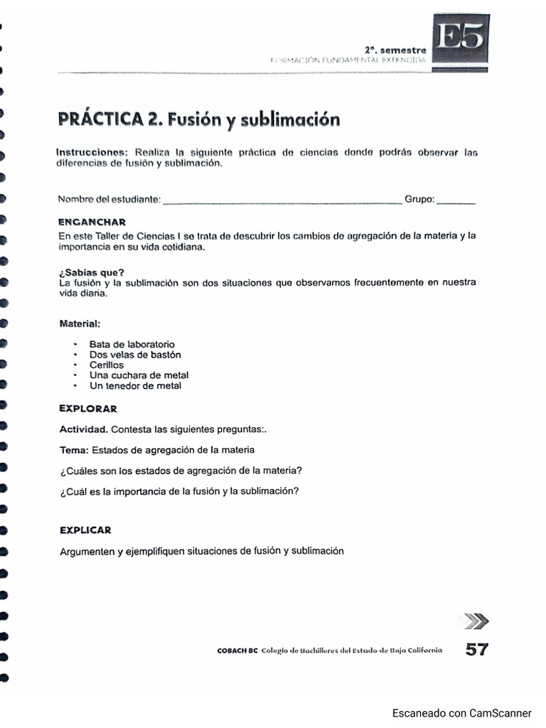 taller ciencias 1- prac 2 | PDF