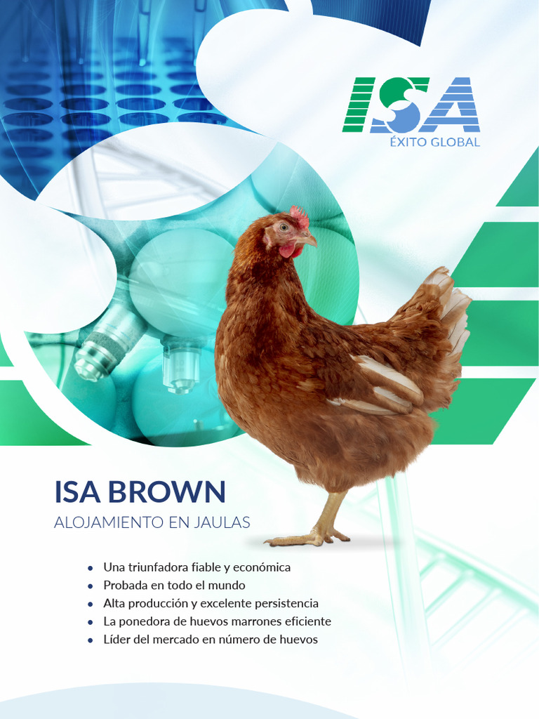 ISA Brown CS Product Leaflet Cage L1211-1-ES | PDF | Salud y bienestar