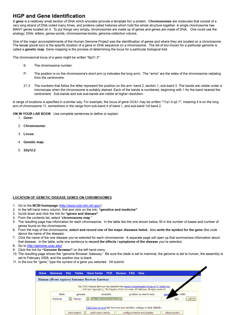 Location of Disease Genes | PDF | Locus (Genetics) | Gene
