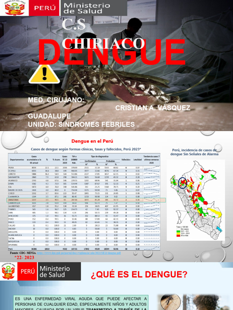 Dengue Final | PDF | Medicina CLINICA | Enfermedades y trastornos