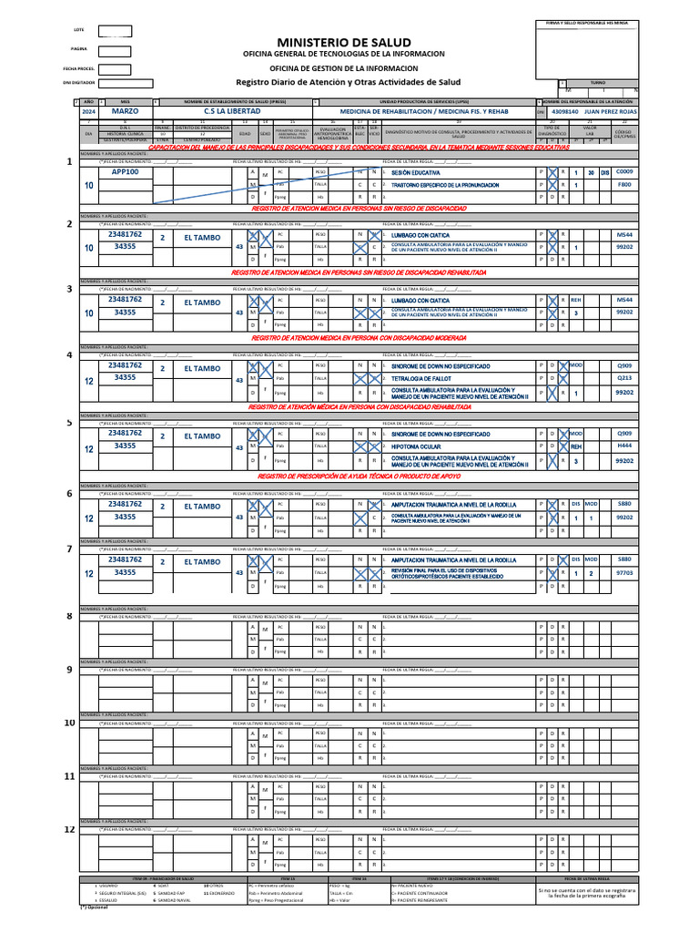 Formato HIS DISCAPACIDAD 2024 12003 OK | PDF | Medicina CLINICA ...