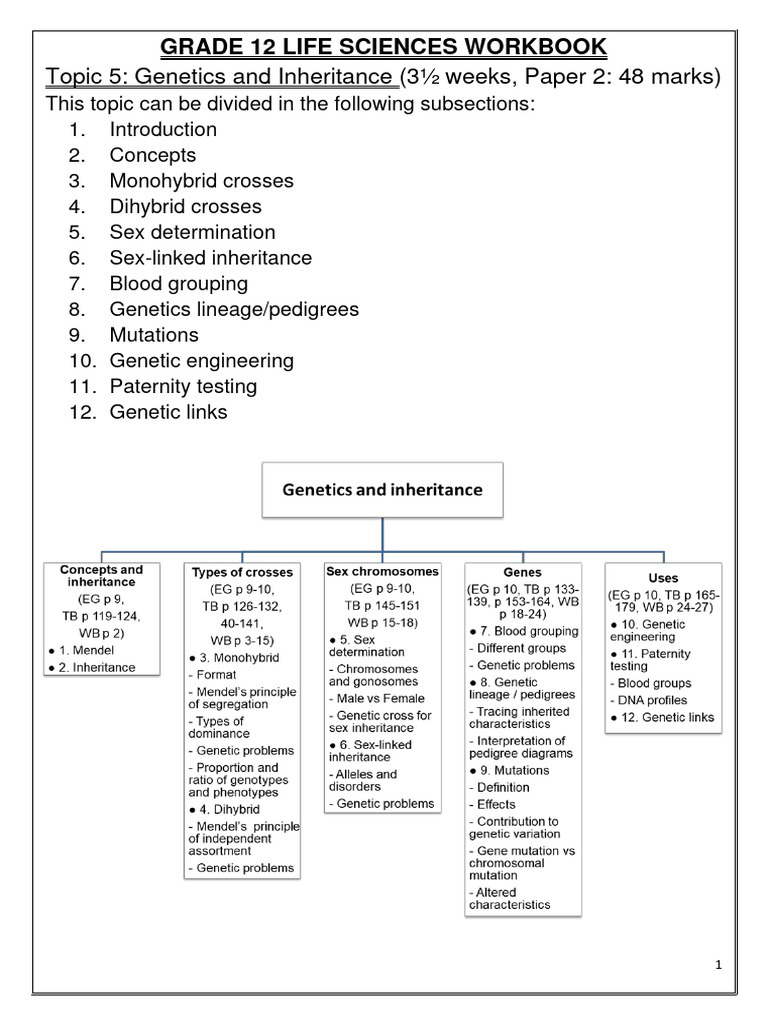 Genotype Ratio of yyrr Cross | PDF | Dominance (Genetics) | Genotype