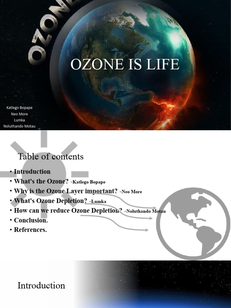 Learning Style Presentation | PDF | Ozone Depletion | Chlorofluorocarbon