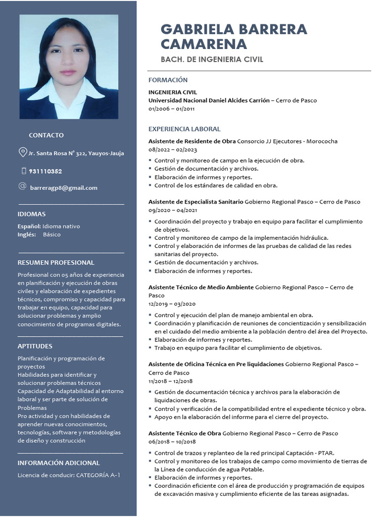 CV Gabriela BARRERA CAMARENA | PDF | Ingeniero civil | Planificación