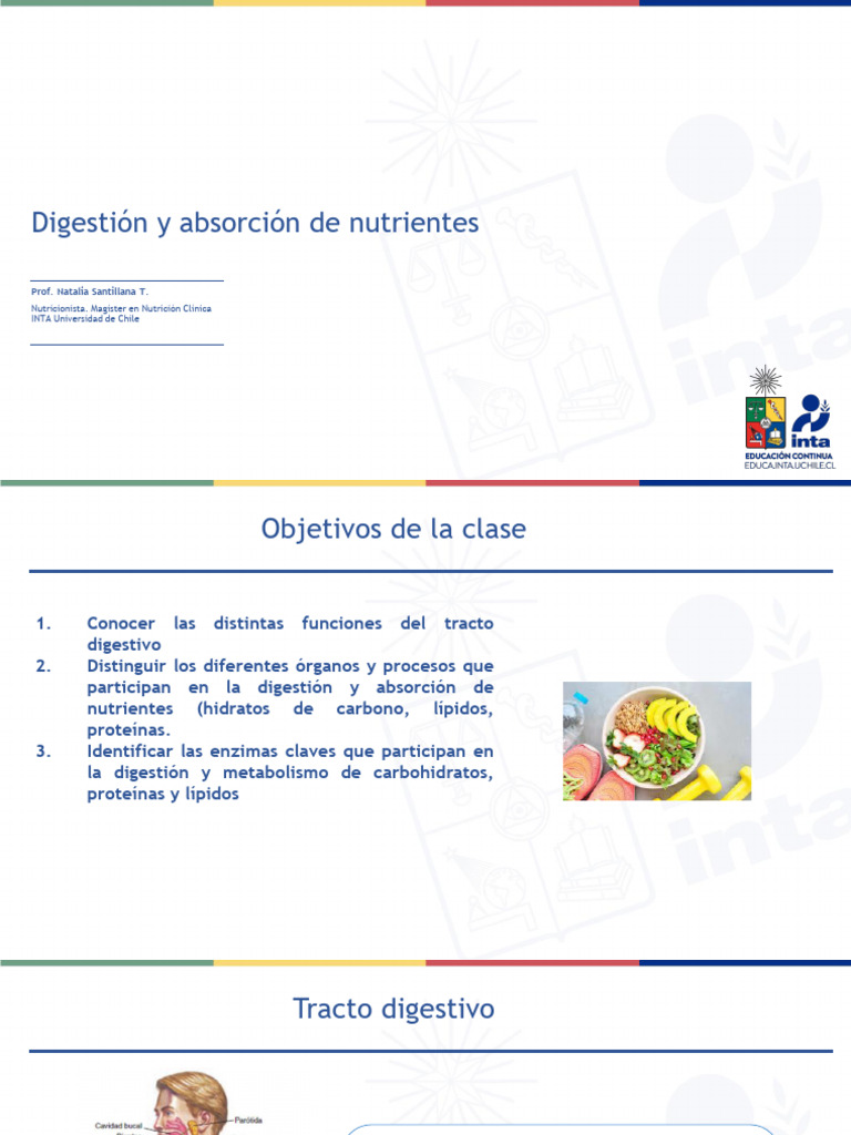 Digestivo, Absorcion de Nutrientes | PDF | Digestión | Sistema ...