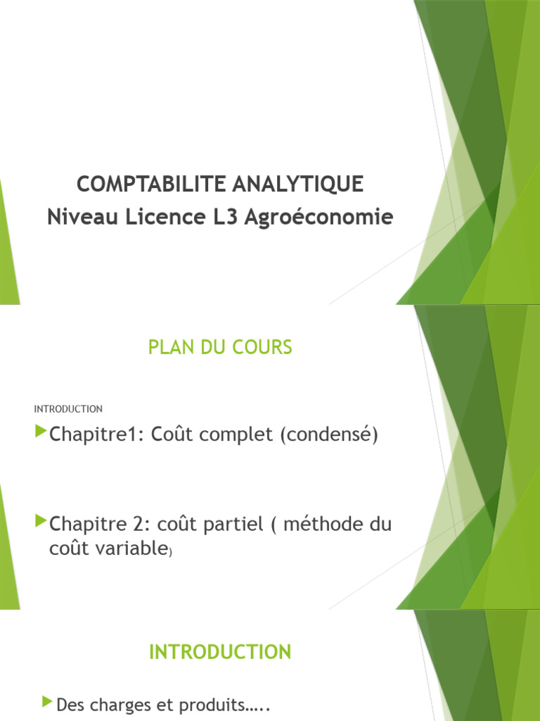 Diapo Master Compta Analytique-1 | PDF | Comptabilité | Coût