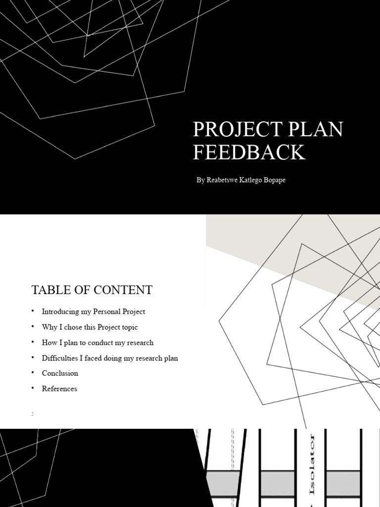 Research Project Plan Feedback | PDF