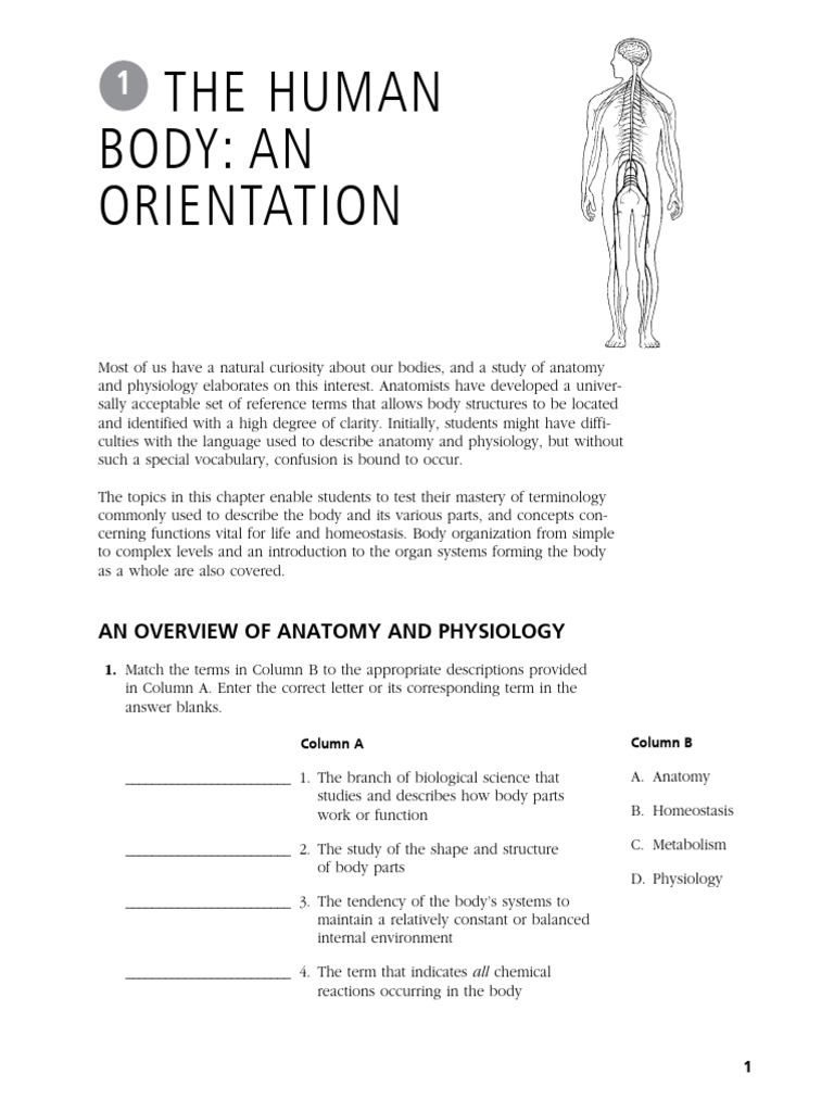 Human Body Orientation-Pages-1-13 | PDF | Human Body | Anatomical Terms ...