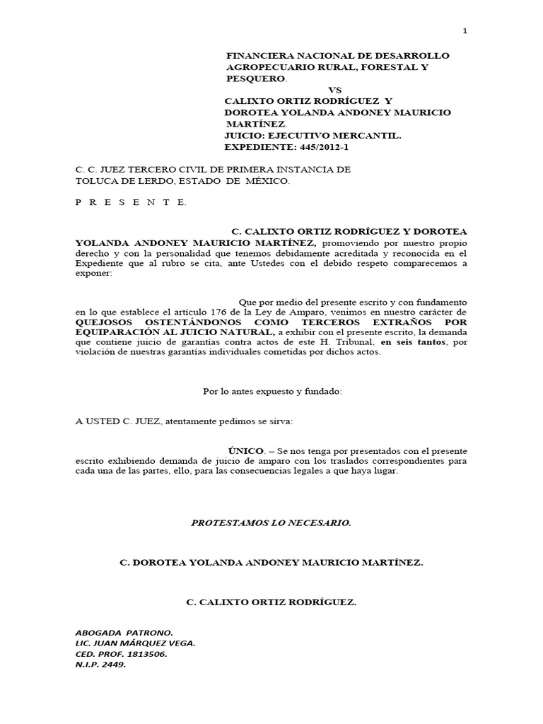 Amparo Directo de Los Padres Del Sr. Teodoro | PDF | Sentencia (ley) | Caso de ley