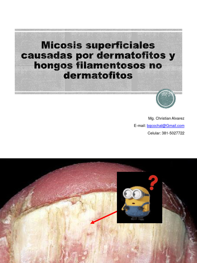 4- Dermatofitos | PDF | Medicina CLINICA | Hongo