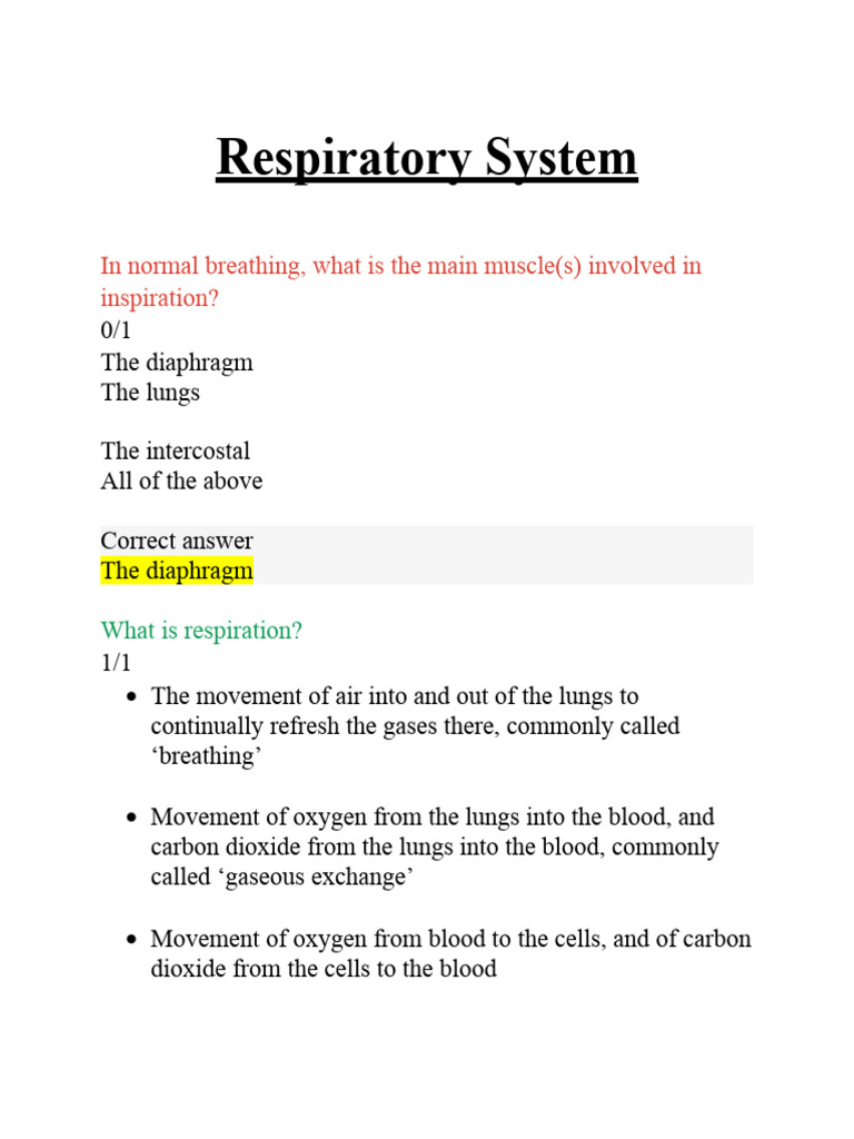 CBT - Respiratory System Edited | Download Free PDF | Breathing ...