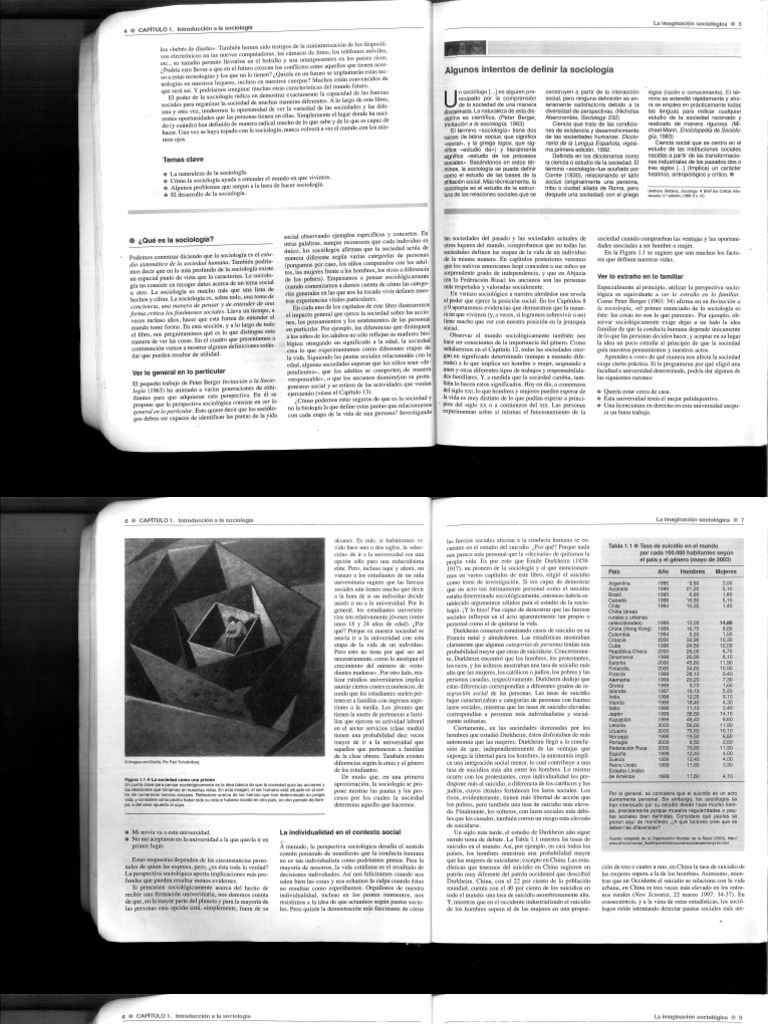 Macionis y Plummer | PDF