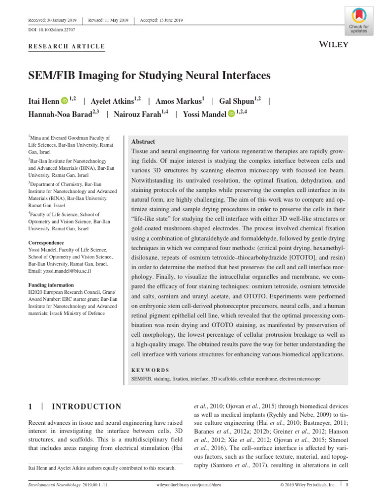 SEM_FIB Imaging for Studying Neural Interfaces | PDF | Scanning Electron Microscope | Staining