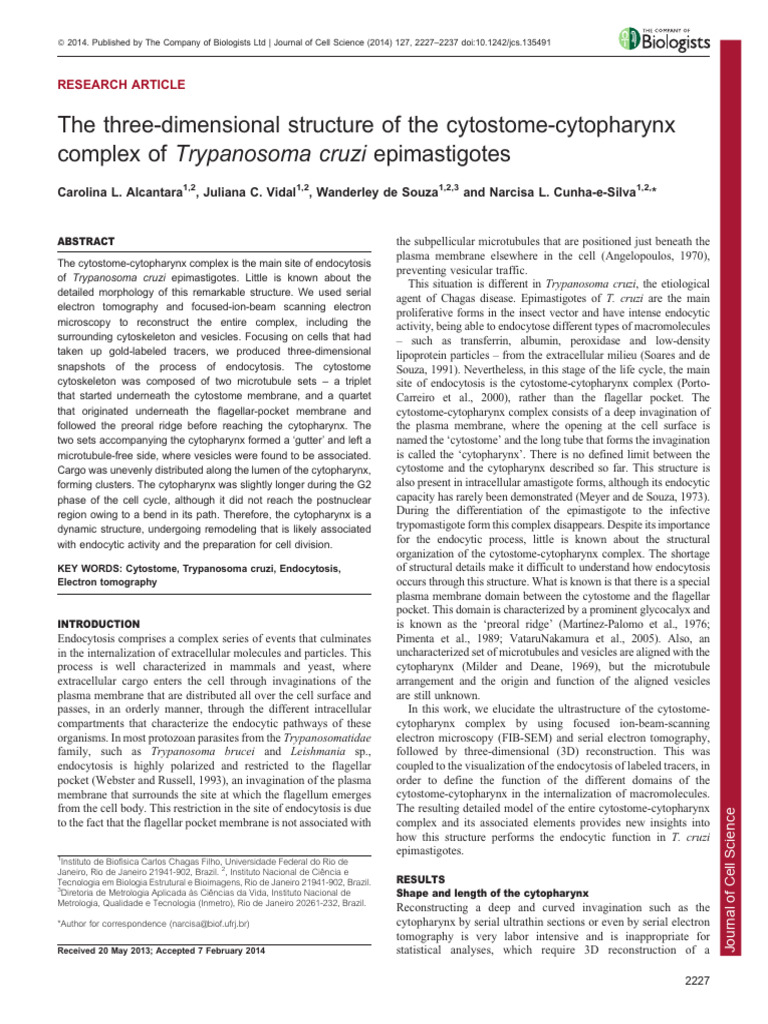 3D Structure of T. cruzi Cytostome-Cytopharynx | PDF | Cell Biology ...