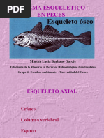 Sistema Oseo en Peces | PDF | Esqueleto | Vértebra