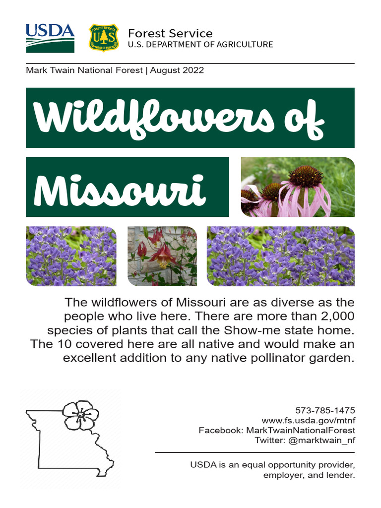 Native Wildflowers of Missouri Guide | PDF | Flowers | Botany