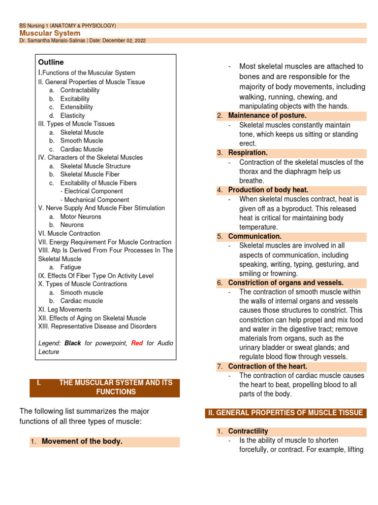 Muscle Properties and Functions Overview | PDF | Muscle | Muscle ...