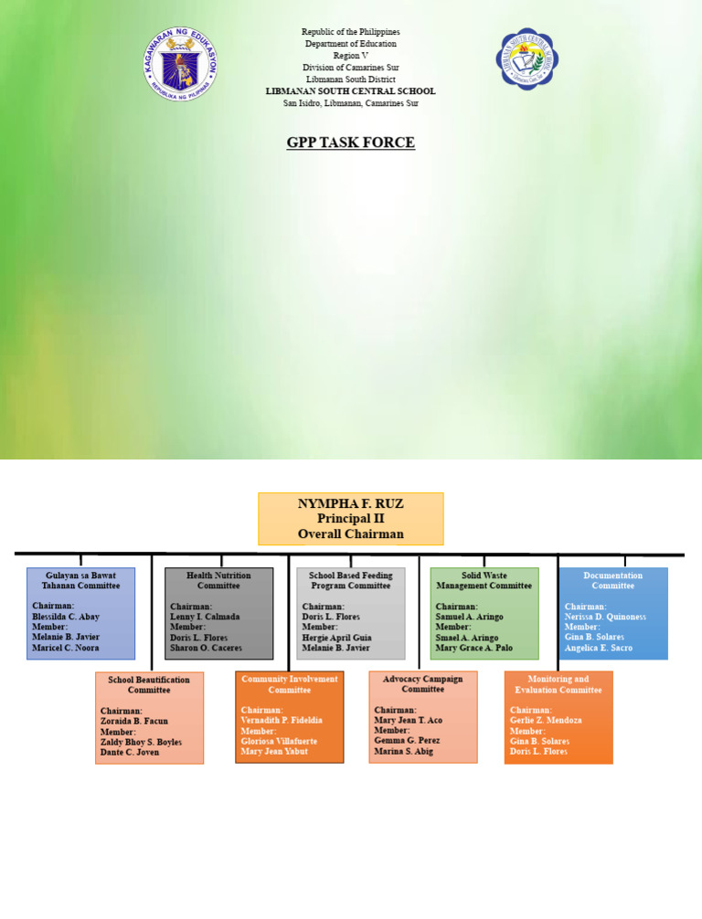 GPP Task FOrce | PDF