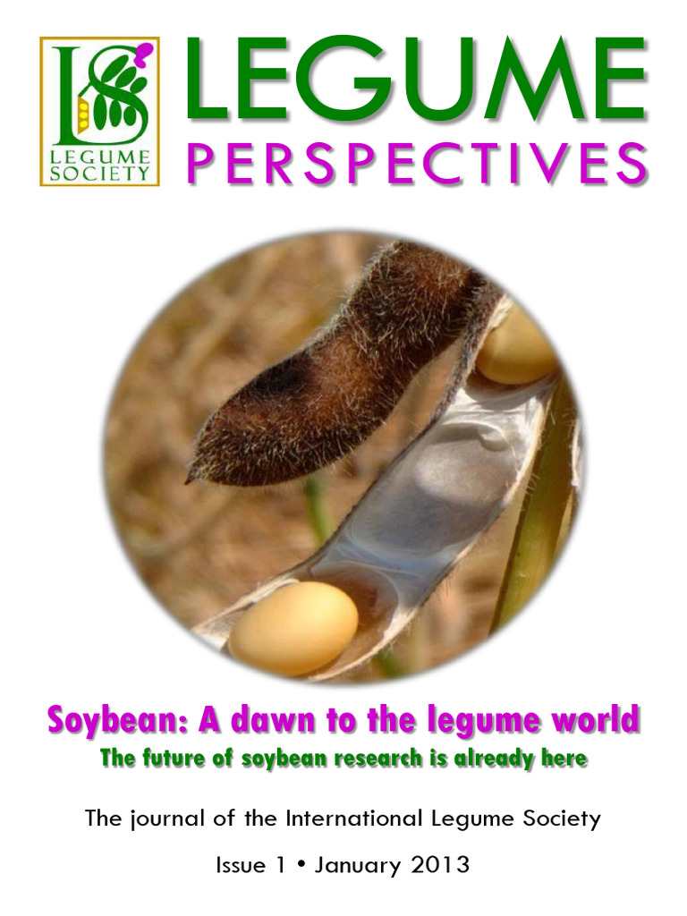 Legum Perspect 1 | PDF | Soybean | Plant Breeding