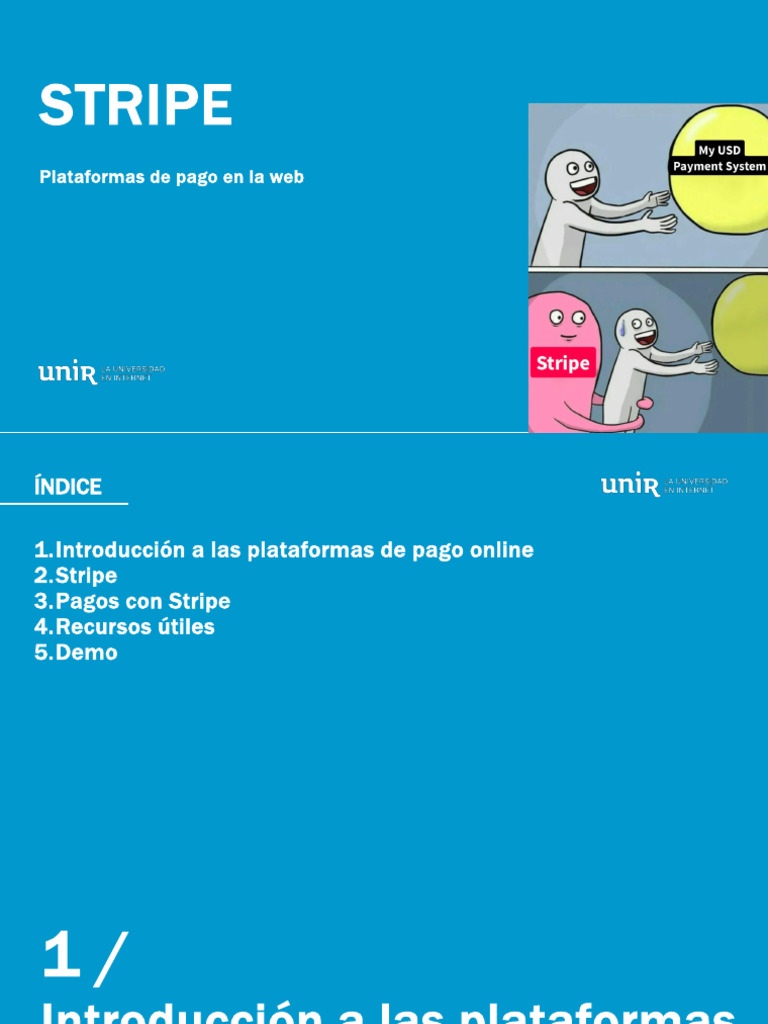 Missi DWFS Stripe | PDF | Java (lenguaje de programación) | Ingeniería Informática