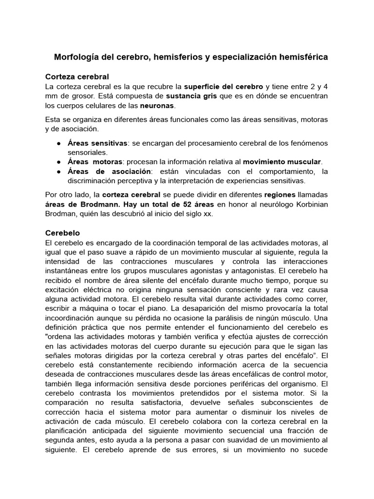 Cerebro Pdf Cerebelo Hemisferio Cerebral