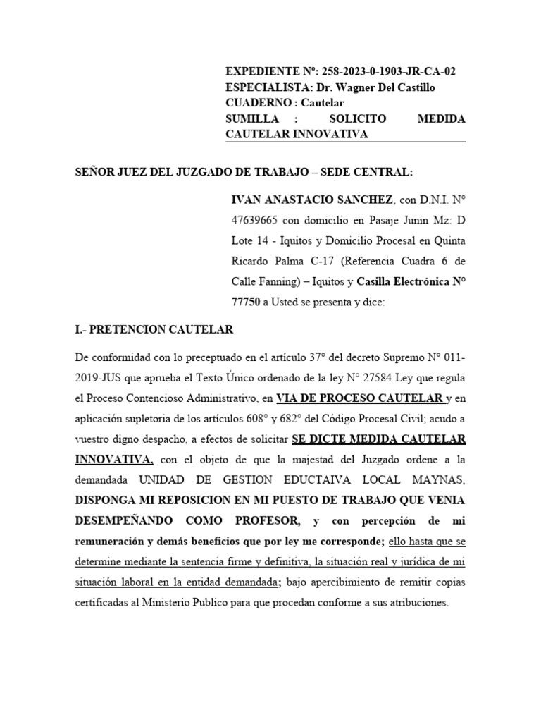 Medida Cautelar | PDF | Mandato | Ley procesal
