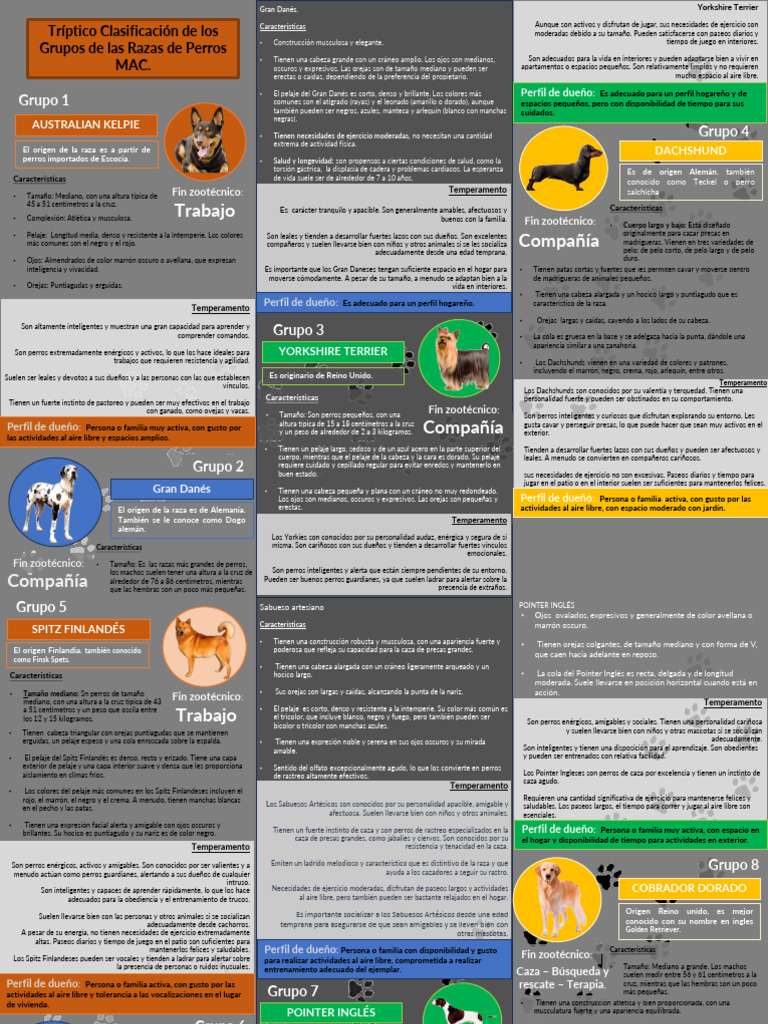 Tríptico Clasificación de Los Grupos de Las Razas de Perros MAC. | Descargar gratis PDF | Golden ...