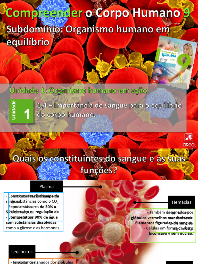 Sague de Ciencias de 9 Ano | PDF | Sangue | Hemácia